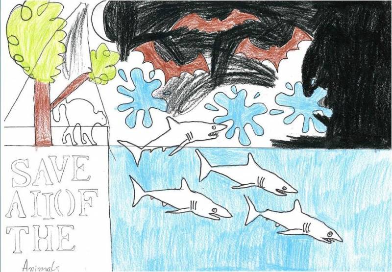 Save all of the animals - Kids Care About Climate Change 2021