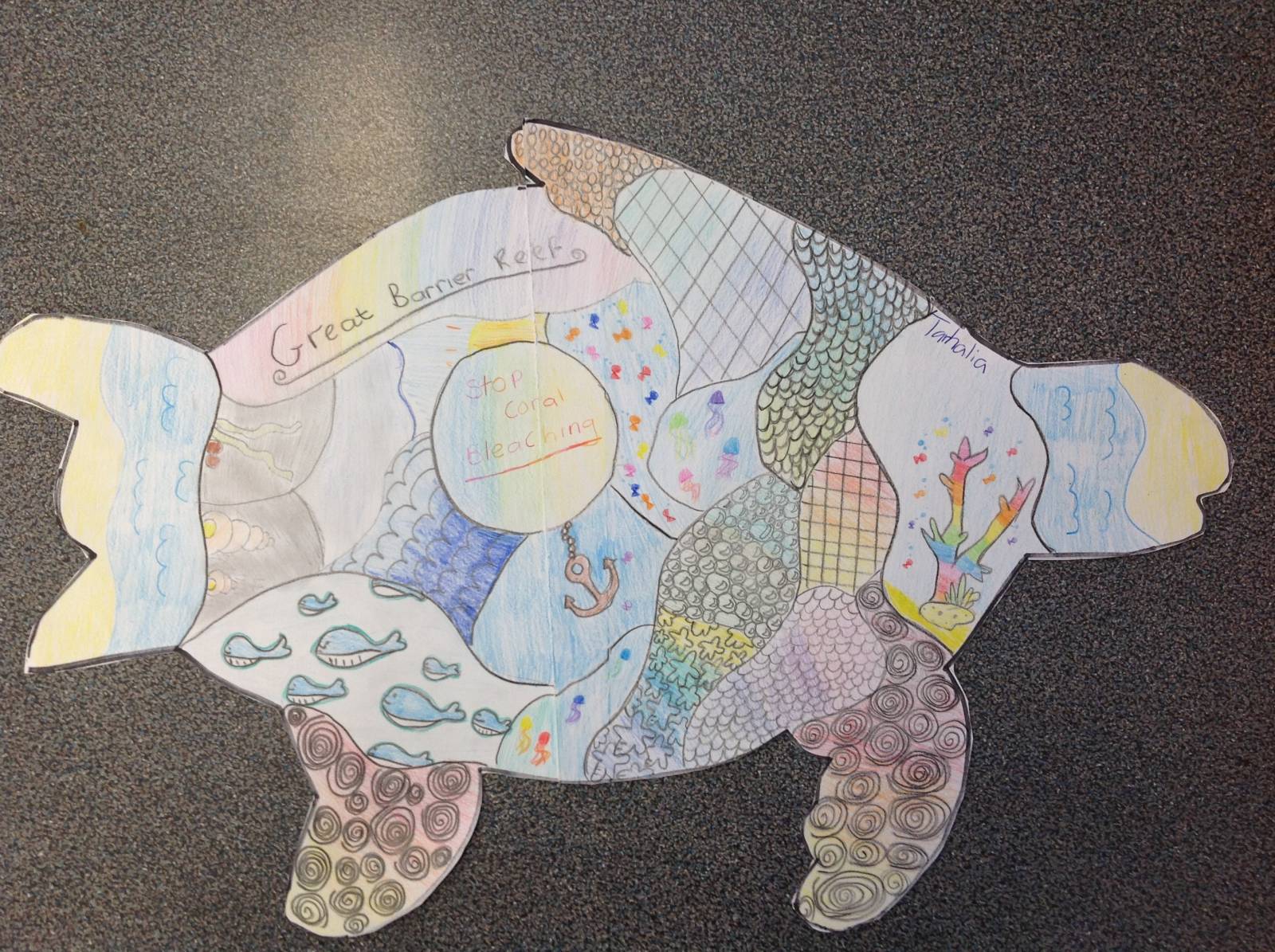Great Barrier Reef Turtle - Kids Care About Climate Change